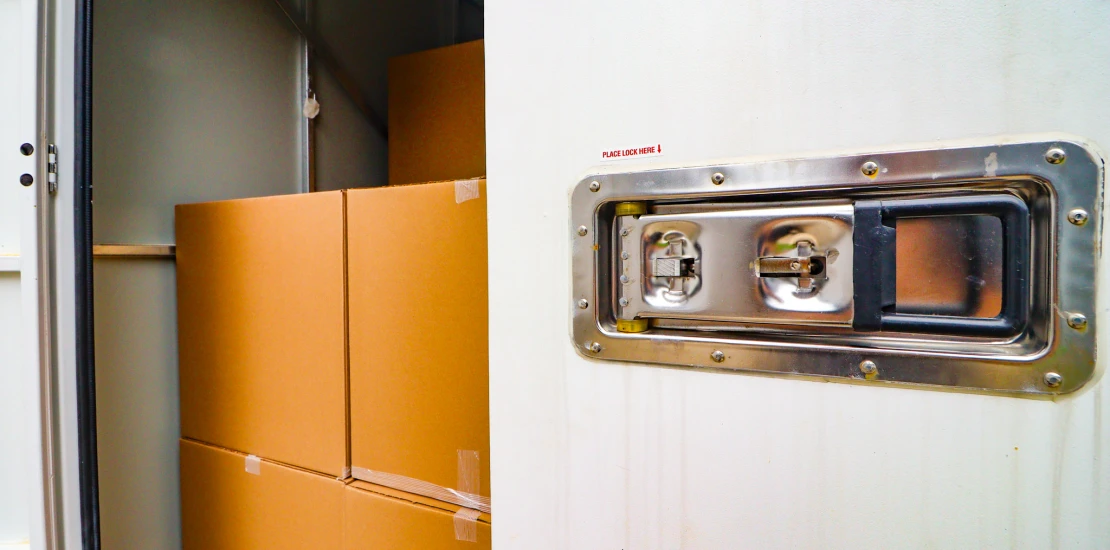 What Shouldn't Be Stored In a Portable Storage Container | Go Mini's