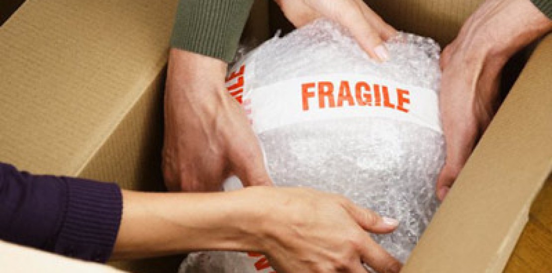 Moving Fragile Items: Choosing the Right Tools | Go Mini's